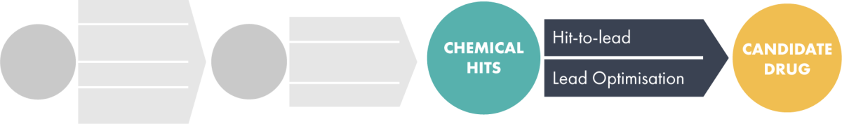 Integrated Drug Discovery Services for the USA | Domainex